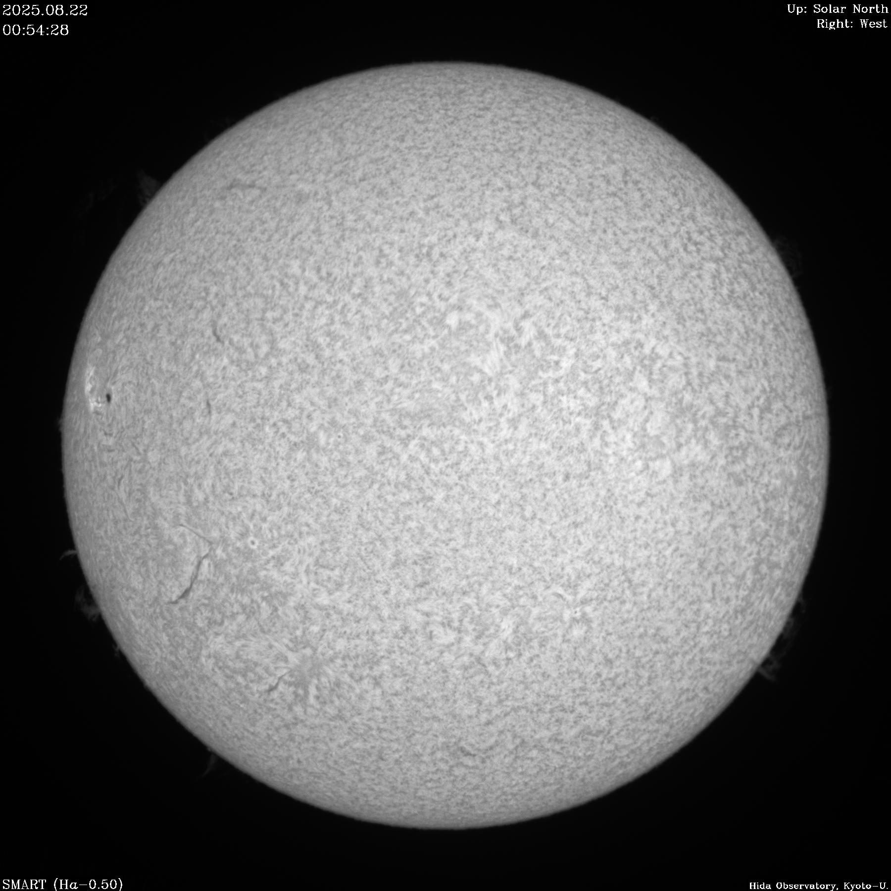 SMART T1 images on 20250822