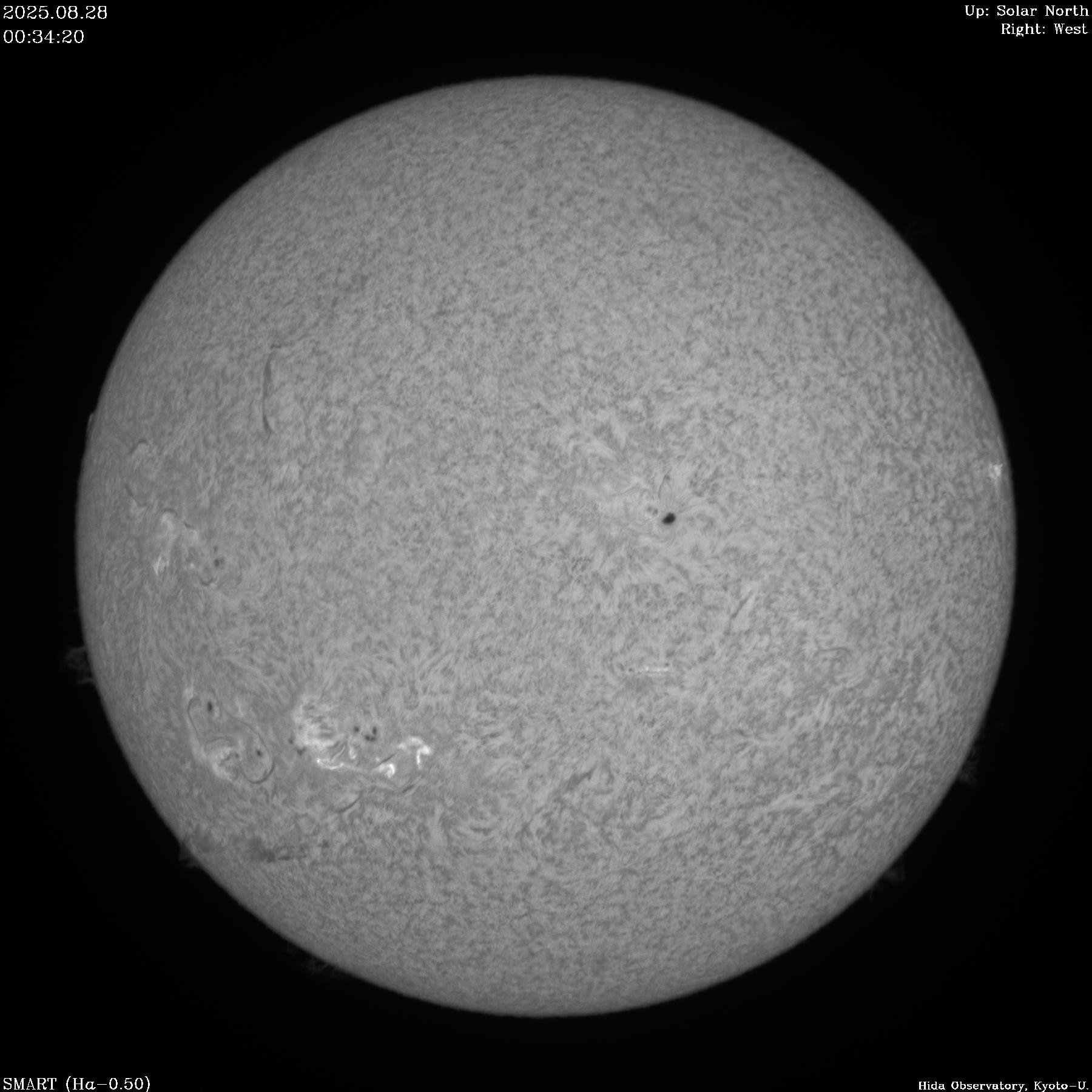 SMART T1 images on 20250828