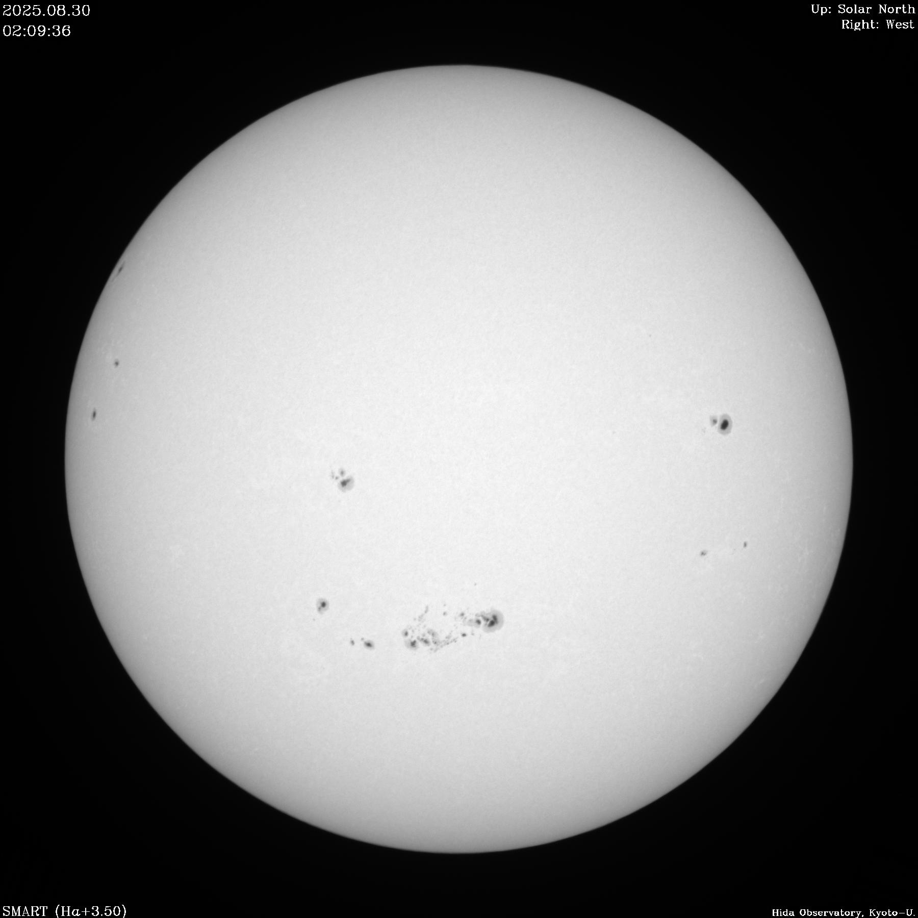 SMART T1 images on 20250830